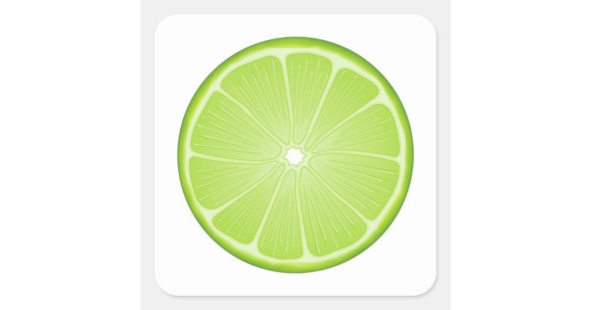 Lime Slice Square Sticker | Zazzle