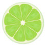 Lime Slice Stickers | Zazzle