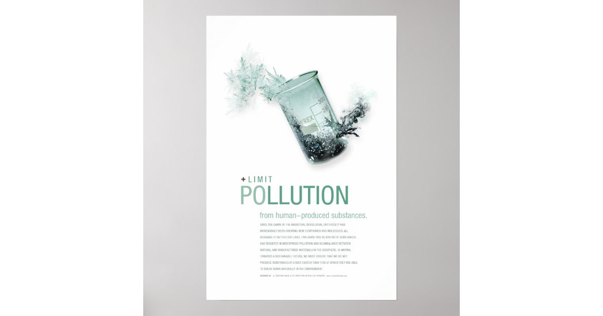 Limit Pollution: Sustainability Principle Posters | Zazzle