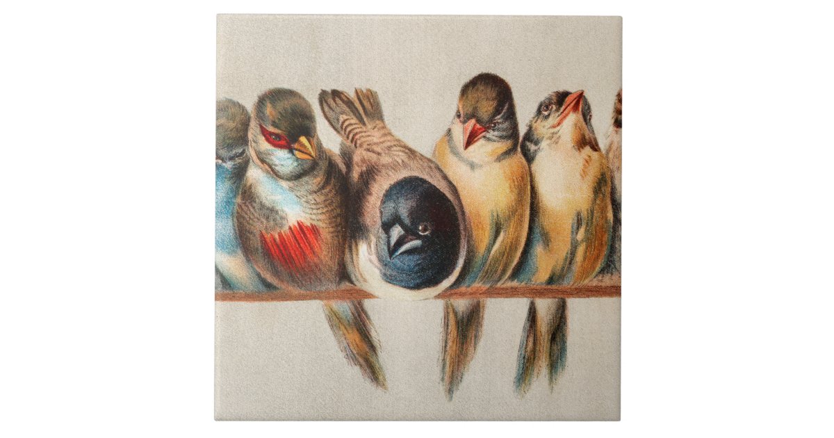 Line of Birds & Dove Ceramic Tile | Zazzle