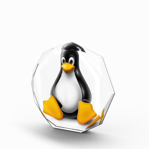 Linux Tux the Penguin Acrylic Award | Zazzle
