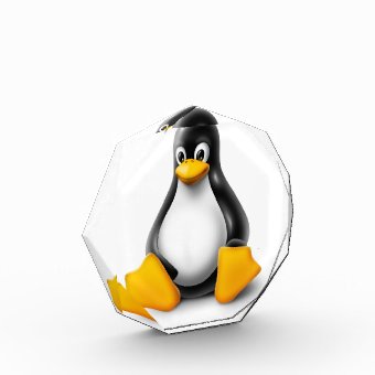Linux Tux the Penguin Acrylic Award | Zazzle