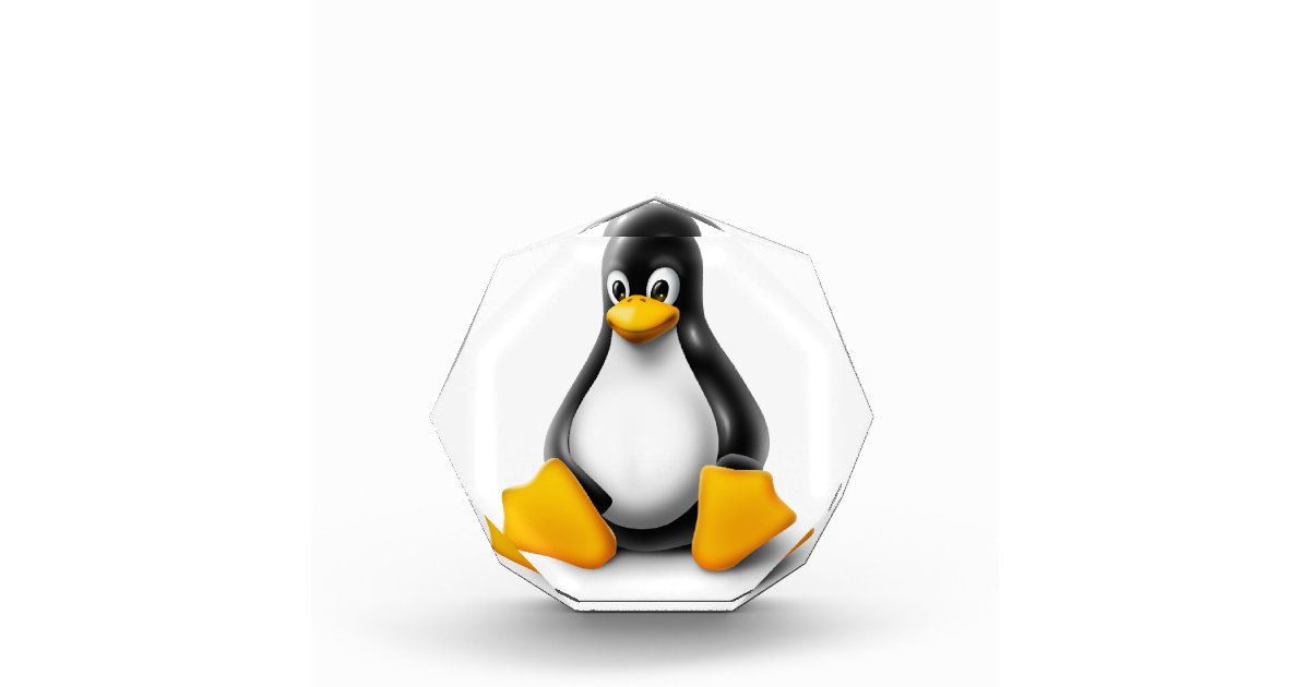 Linux Tux the Penguin Acrylic Award | Zazzle