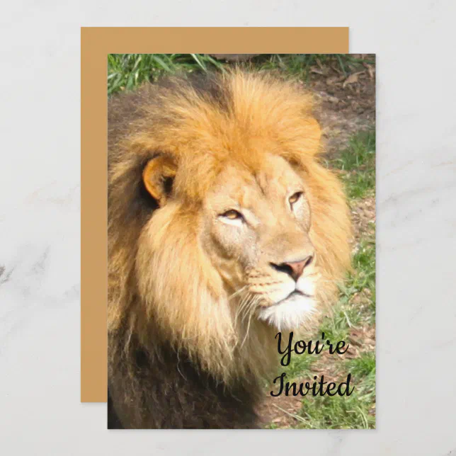 Lion 6918 Birthday Invitation | Zazzle