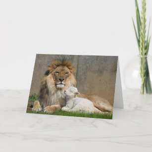 Lion And Lamb Christmas Cards | Zazzle