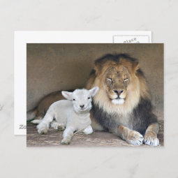 Lion and Lamb Postcard | Zazzle