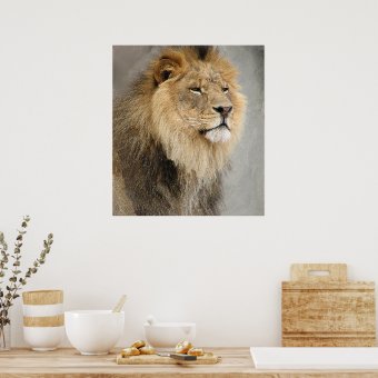 lion art poster | Zazzle