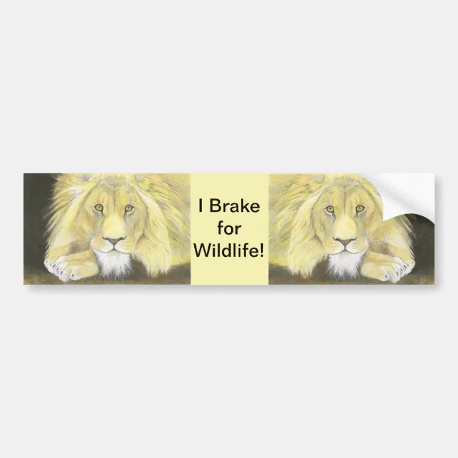 Lion Bumper Sticker | Zazzle