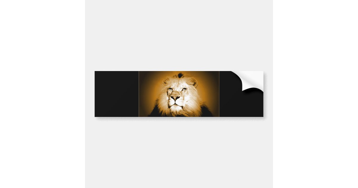 Lİon Bumper Sticker | Zazzle