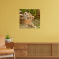 Lion Cub Poster | Zazzle