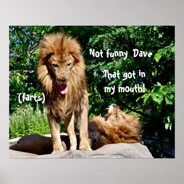Lion farts poster | Zazzle
