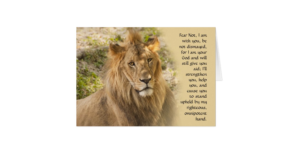 Lion Get Well Card | Zazzle.com
