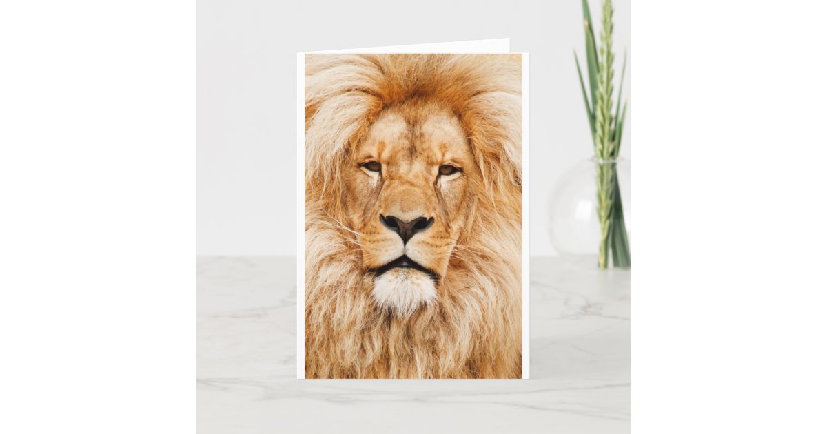 Lion Greeting Card | Zazzle.com