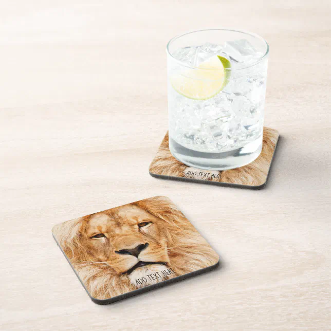 Lion, King of Africa Beverage Coaster | Zazzle