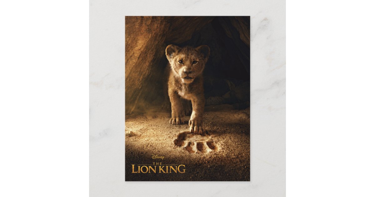 Lion King | Simba Following In Mufasa's Step Postcard | Zazzle