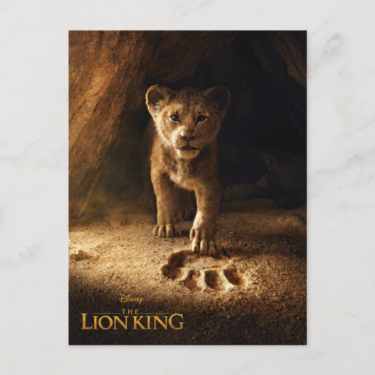 Lion King | Simba Following In Mufasa's Step Postcard | Zazzle