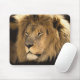 Lion Mouse Pad | Zazzle