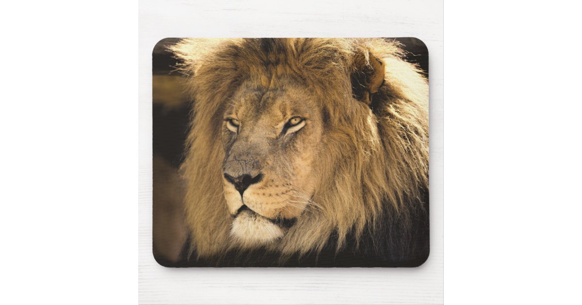 Lion Mouse Pad | Zazzle