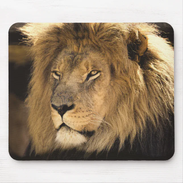 Lion Mouse Pad | Zazzle