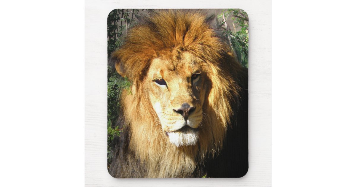 Lion Mouse Pad | Zazzle