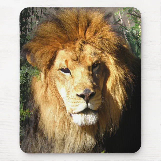 Lion Mouse Pad | Zazzle