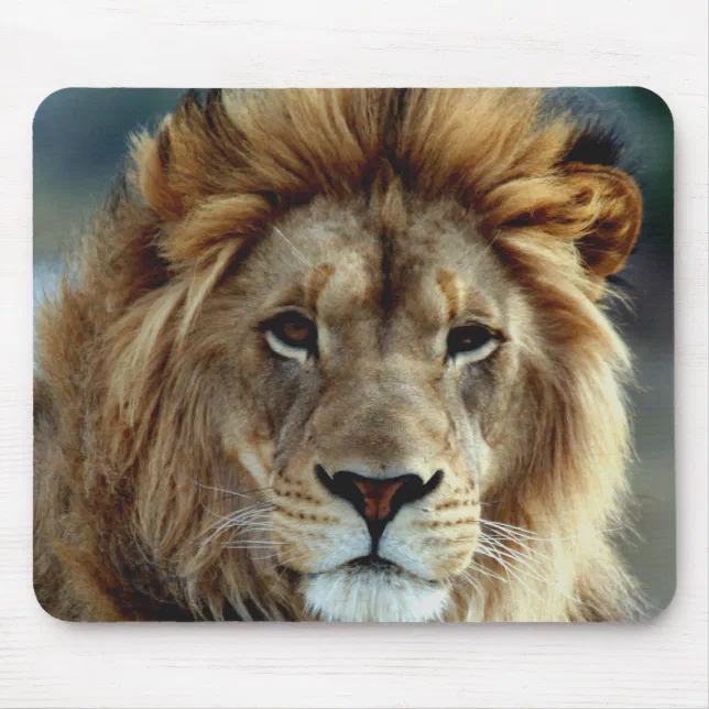 Lion Mousepad | Zazzle