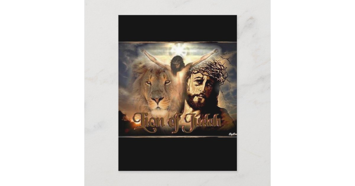 Lion of Judah Postcard | Zazzle