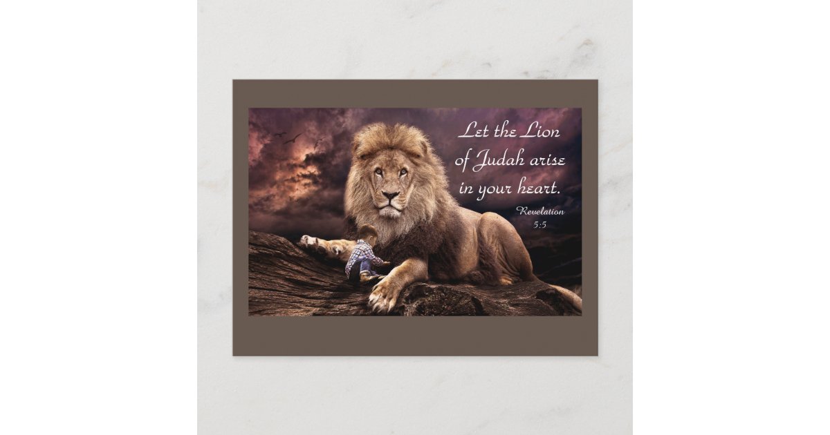 Lion of Judah Revelation 5:5 Postcard | Zazzle