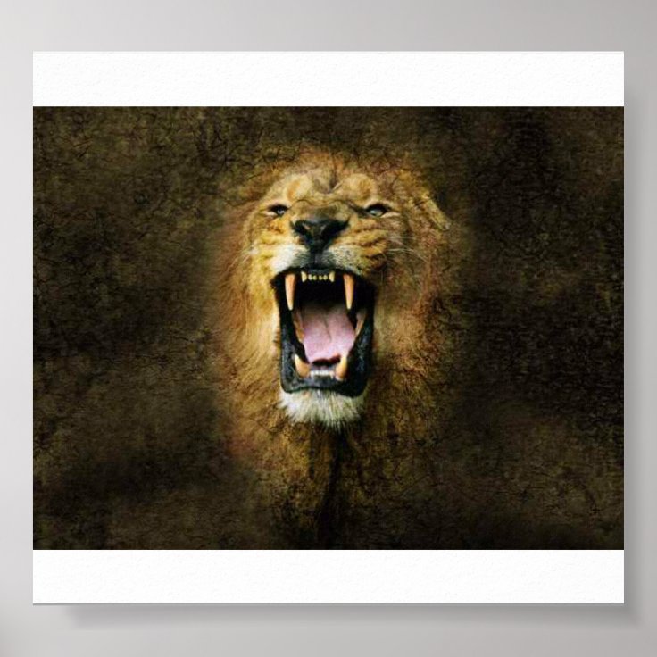 Lion Poster | Zazzle