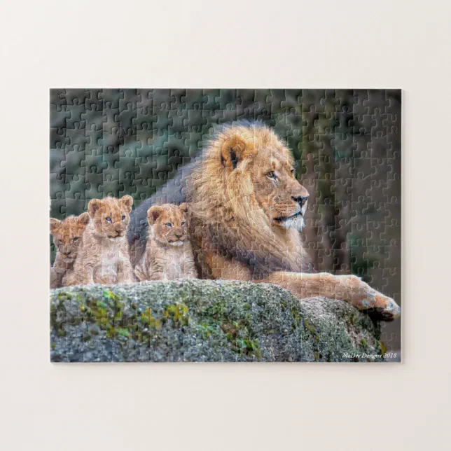 Lion Pride Jigsaw Puzzle | Zazzle