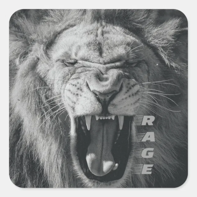 Lion Rage Black and White Roar Square Sticker | Zazzle