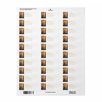 Lion Return Address Mailing Label | Zazzle