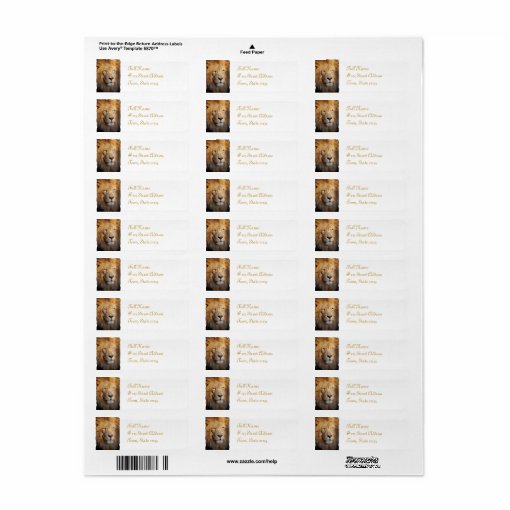 Lion Return Address Mailing Label | Zazzle