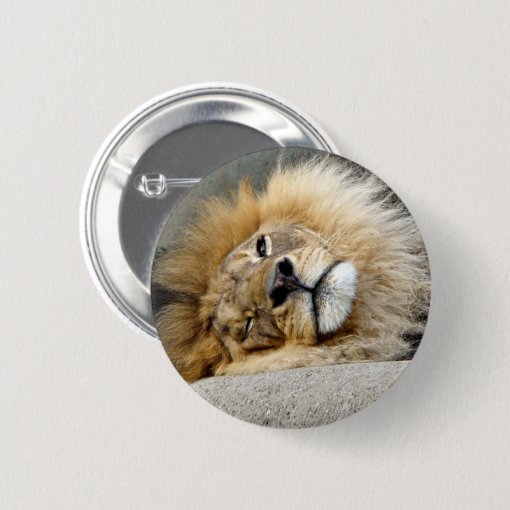 Lion Wink Button | Zazzle