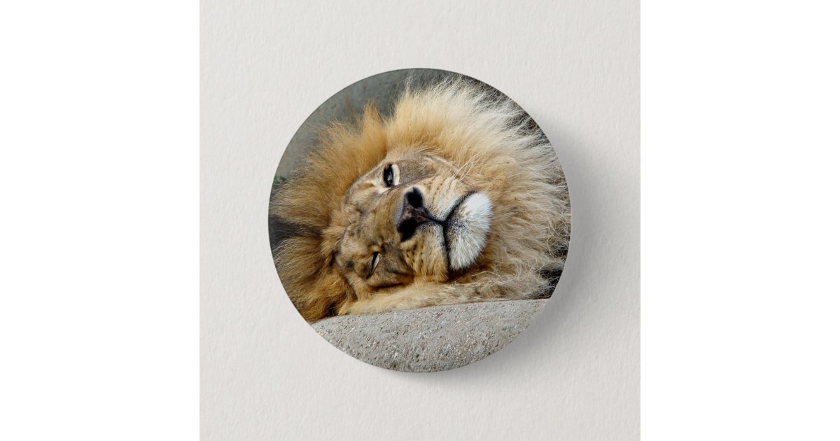 Lion Wink Button | Zazzle