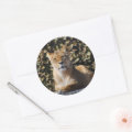 Lioness Sticker | Zazzle