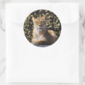 Lioness Sticker | Zazzle