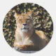 Lioness Sticker | Zazzle
