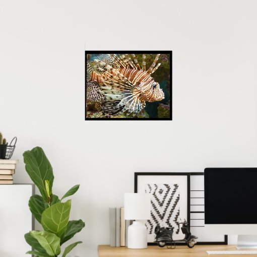 Lionfish Poster | Zazzle