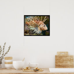 Lionfish Poster | Zazzle