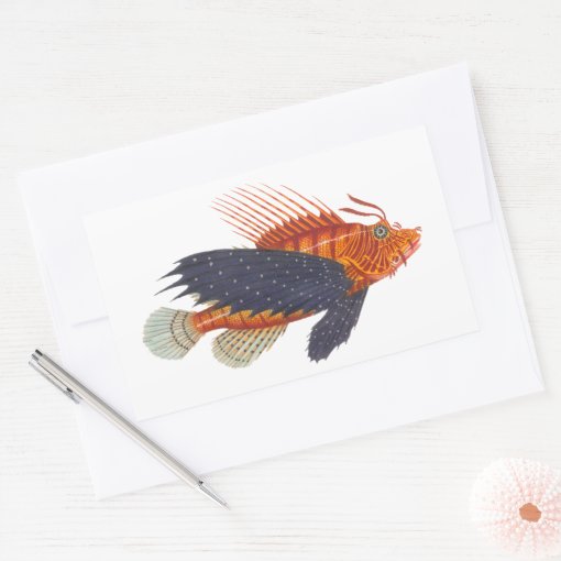 Lionfish - Pterois - Lion Fish Antique Engraving Rectangular Sticker ...