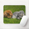 Lionhead Holland Mini Lop Bunny Rabbit Mouse Pad | Zazzle