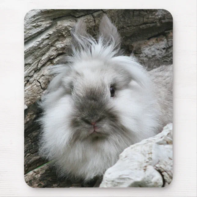 Lionhead Rabbit Mouse Pad | Zazzle