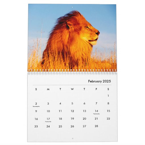 Lions [1] Wall Calendar | Zazzle