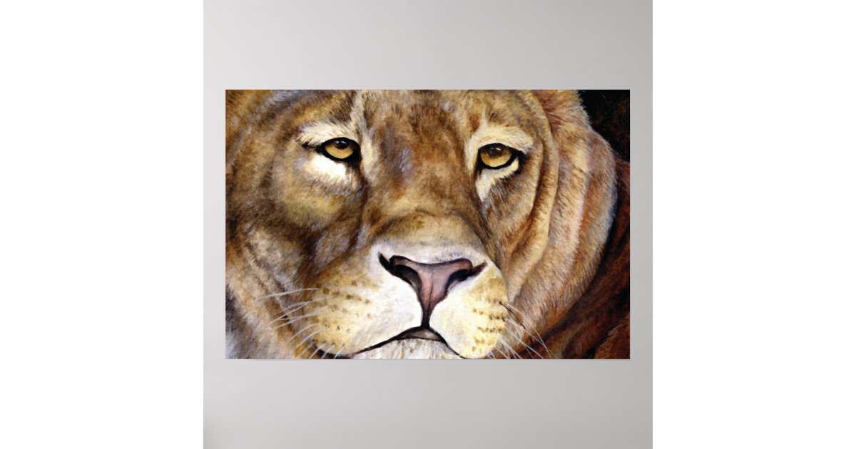 Lions face fine art poster | Zazzle