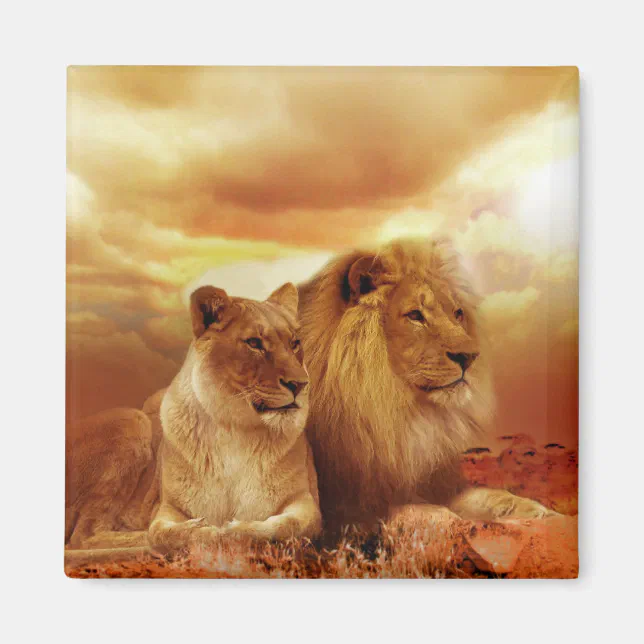 Lions Magnet | Zazzle