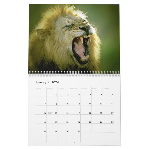 Lions - Wild Animals & Big Cats Wall Calendar | Zazzle