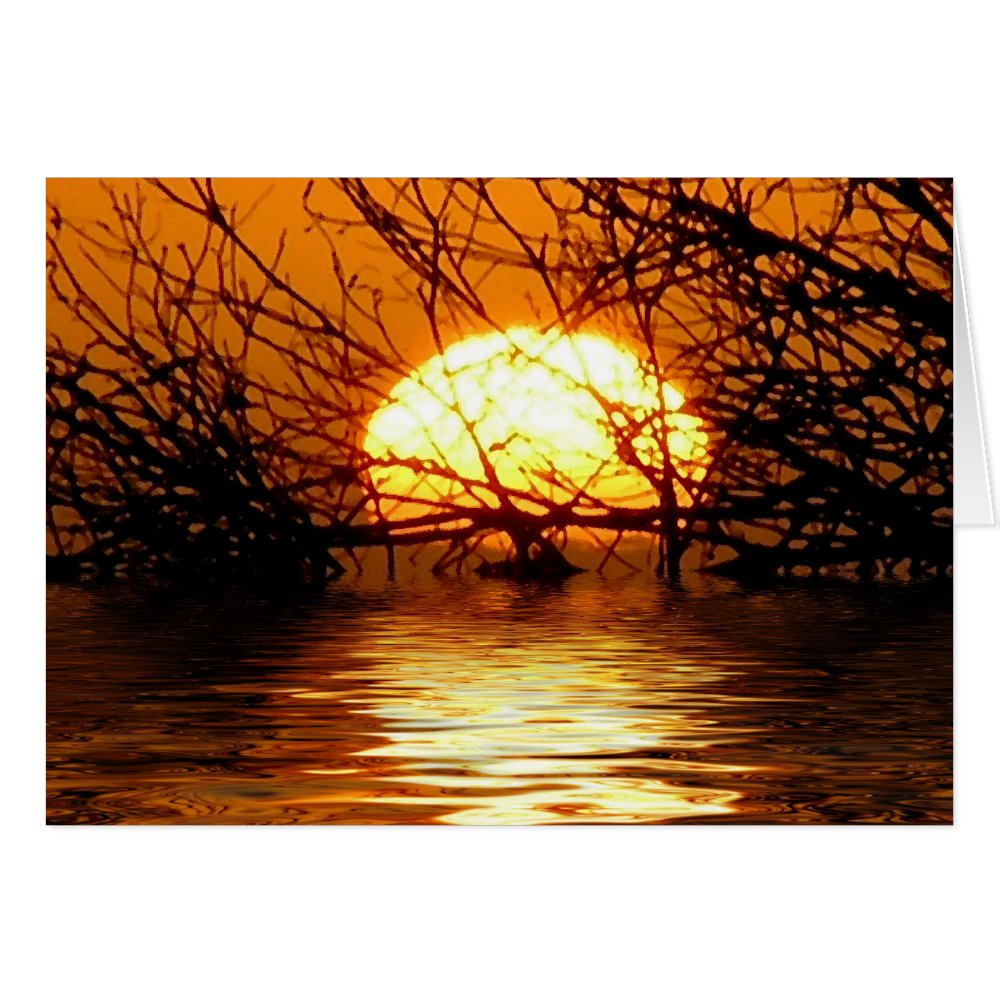 Liquid Sunset CARD - Snuggle Hamster Designs