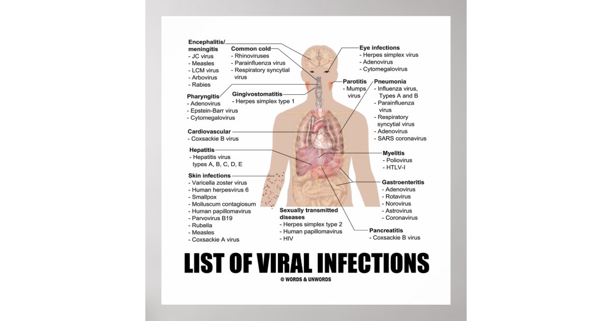 List Of Viral Infections (Anatomical Health) Poster | Zazzle