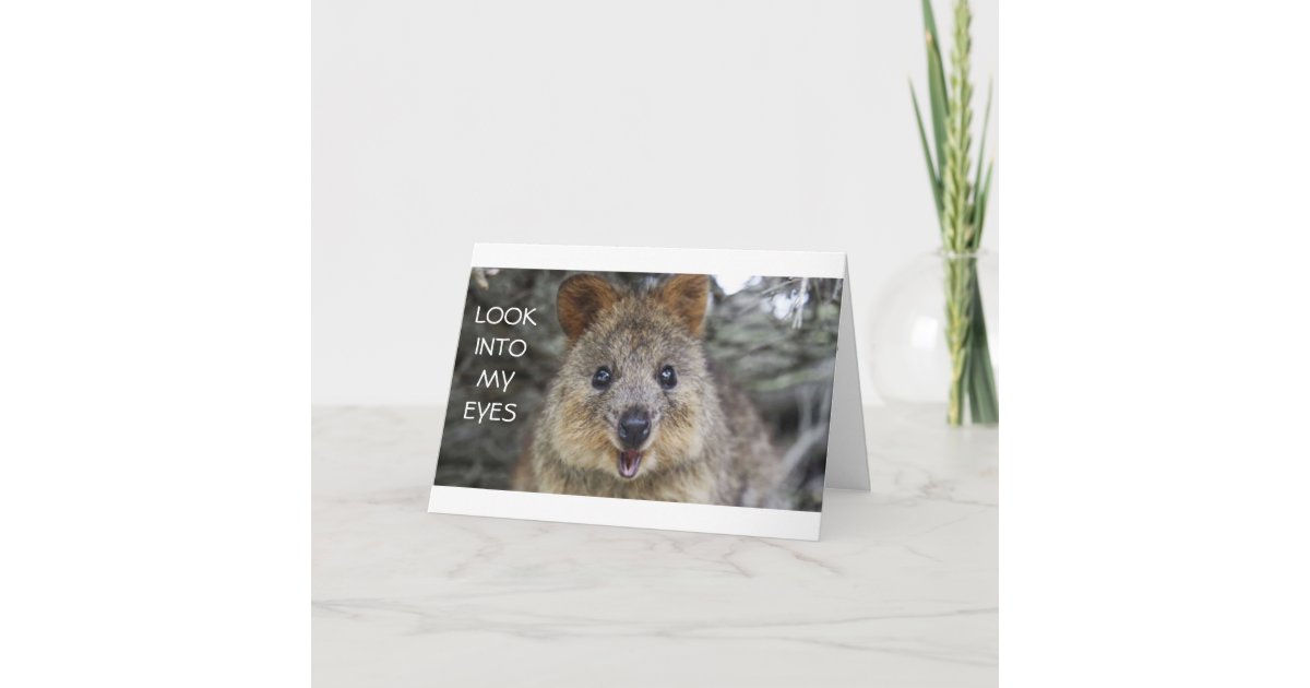 *LISTEN TO WHAT I SAY/HAVE THE BEST BIRTHDAY EVER* CARD | Zazzle